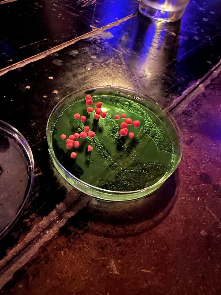 25 Examples Of Bizarre Plating Methods At Restaurants | Know Your Meme