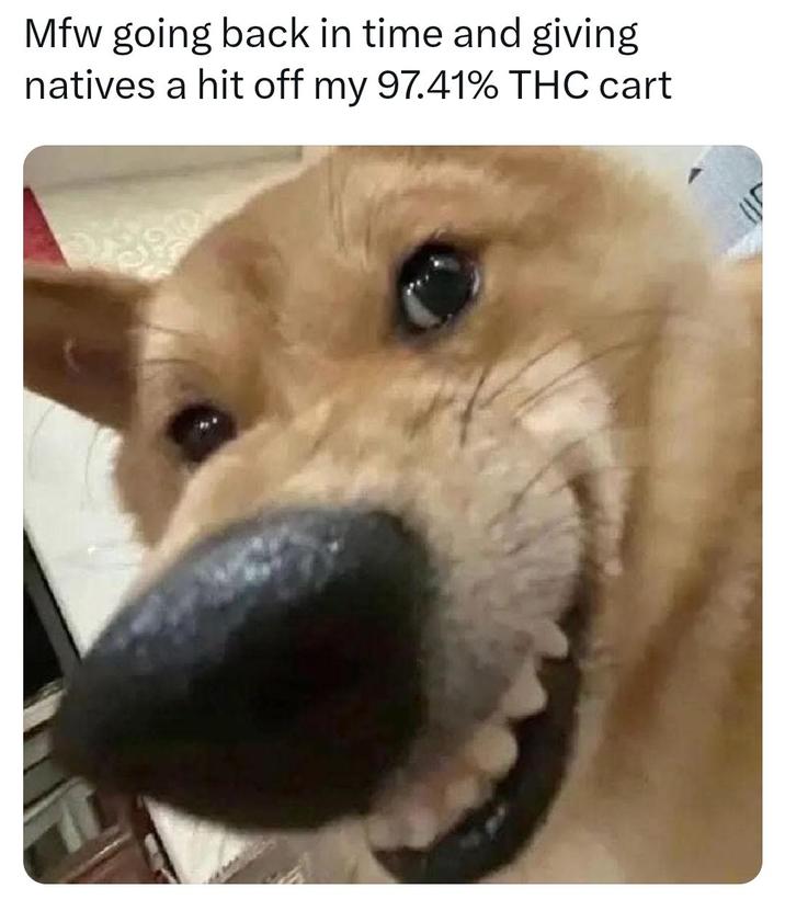 Purely diabolical | /r/memes | Know Your Meme