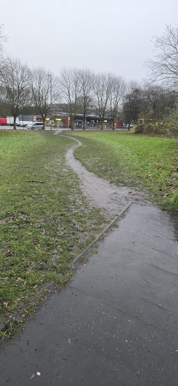 Paths And Walkways Carved By Pure Desire | Know Your Meme