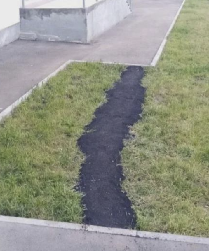 Paths And Walkways Carved By Pure Desire | Know Your Meme