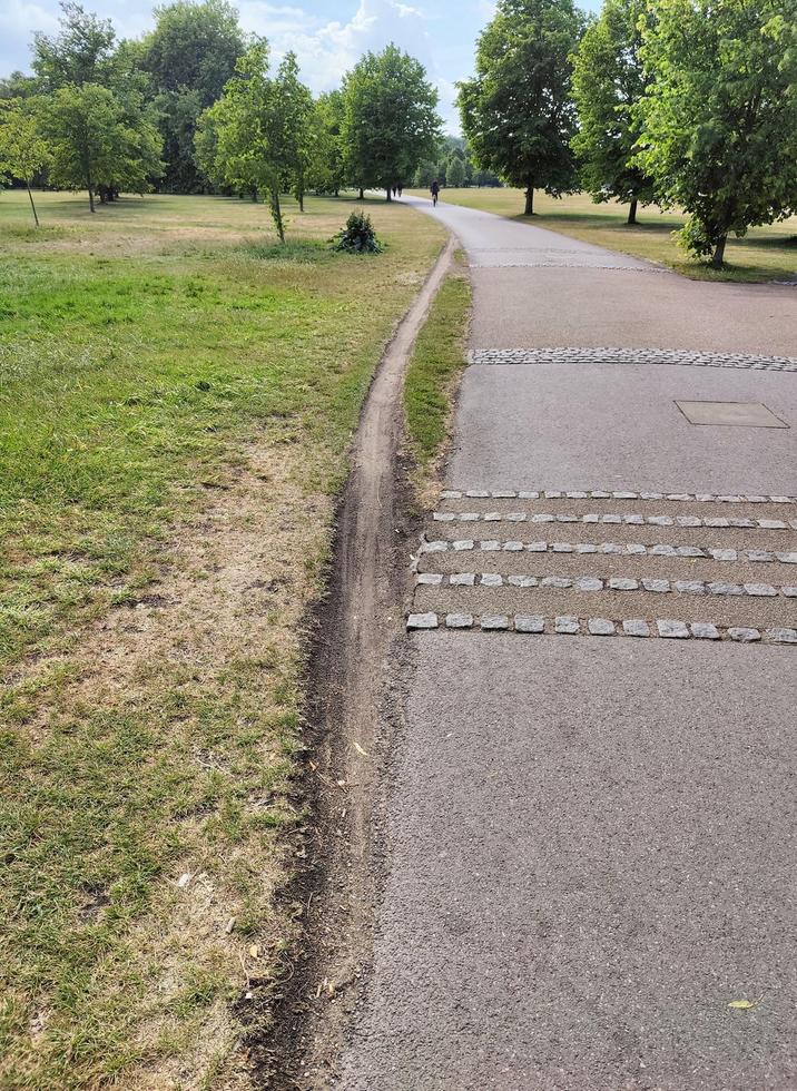 Paths And Walkways Carved By Pure Desire | Know Your Meme