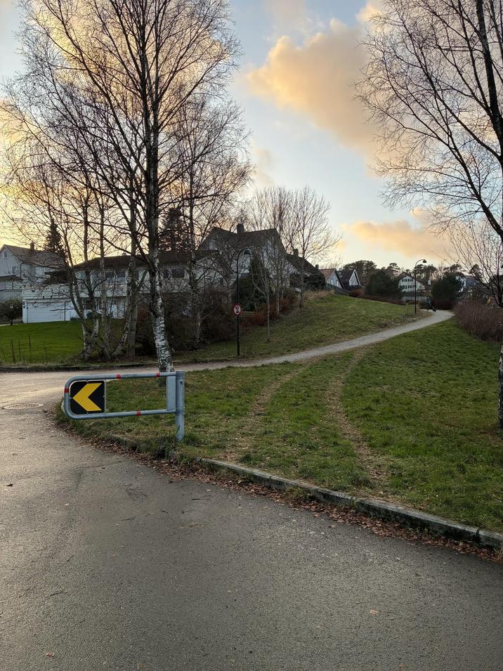 Paths And Walkways Carved By Pure Desire | Know Your Meme