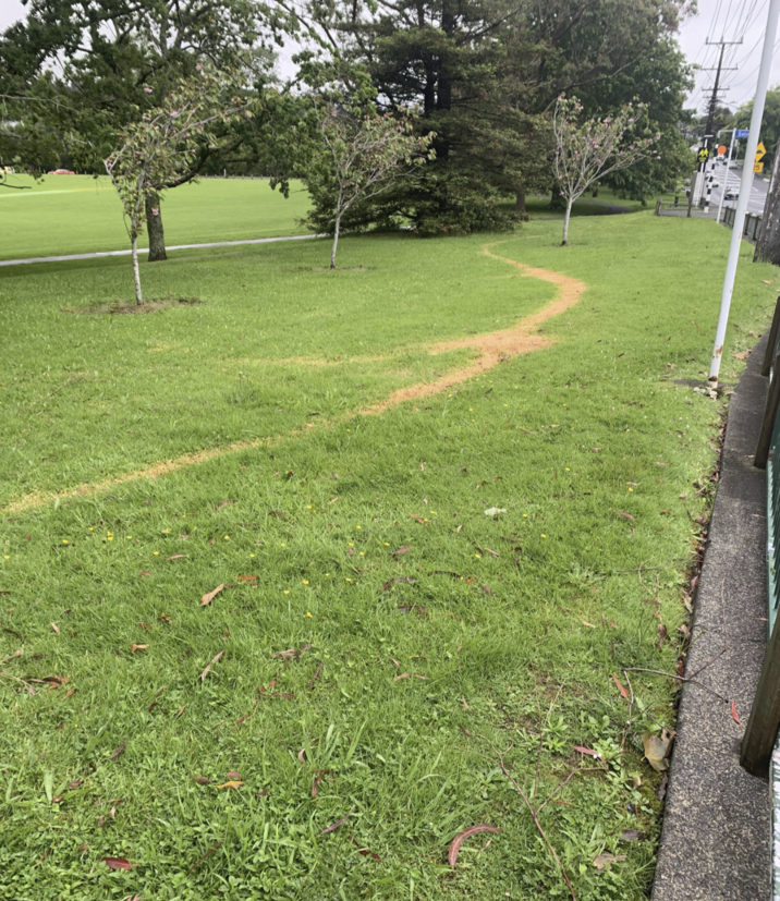Paths And Walkways Carved By Pure Desire | Know Your Meme