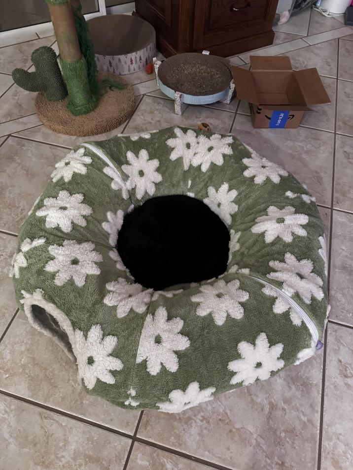 25 Hiding Kitties Who Thought They Were Slick | Know Your Meme