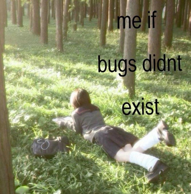 Me If Bugs Didn't Exist | Know Your Meme