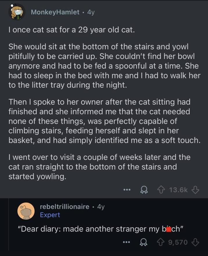 How humans were domesticated | /r/memes | Know Your Meme