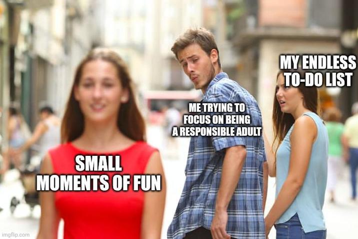 Fun versus Responsibility | /r/memes | Know Your Meme