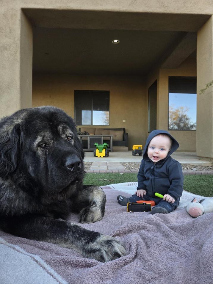 A unit of a dog | Absolute Unit | Know Your Meme