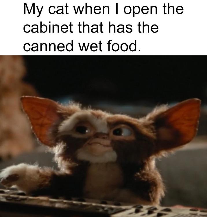 Posting Original Gremlin Memes for 25 Days: Day 18 | /r/memes | Know ...