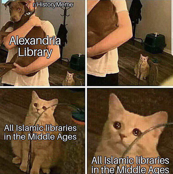 We must remember the library of Baghdad and Cordoba | History Memes ...