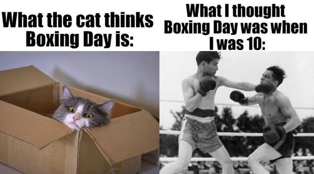 Celebrate Boxing Day With Some Memes About The Day | Know Your Meme