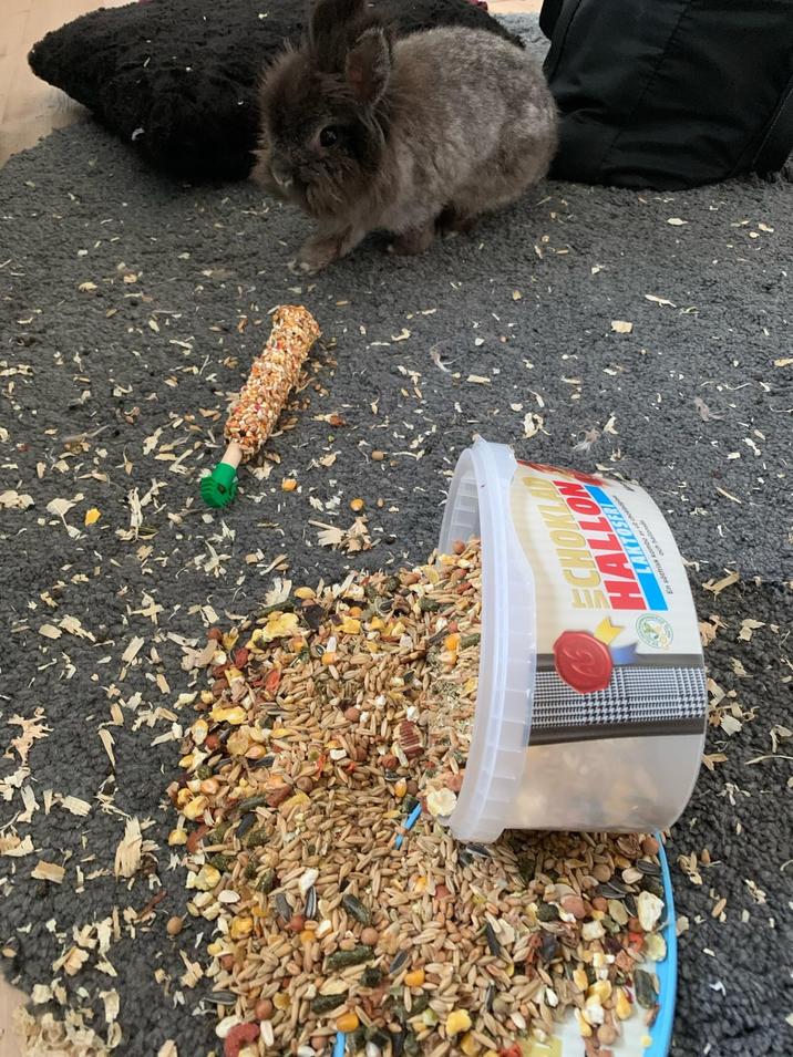 Making a mess | Animals Being Jerks | Know Your Meme