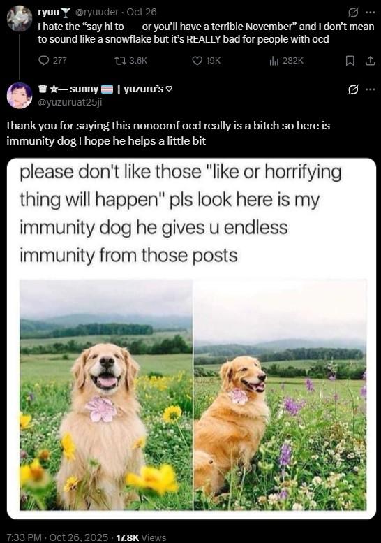 OCD Immunity Dog | Immunity Dog | Know Your Meme