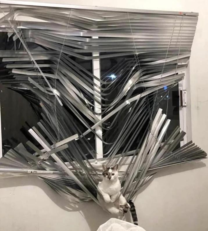 'Hmmm...': Strange Images That Can't Be Explained | Know Your Meme