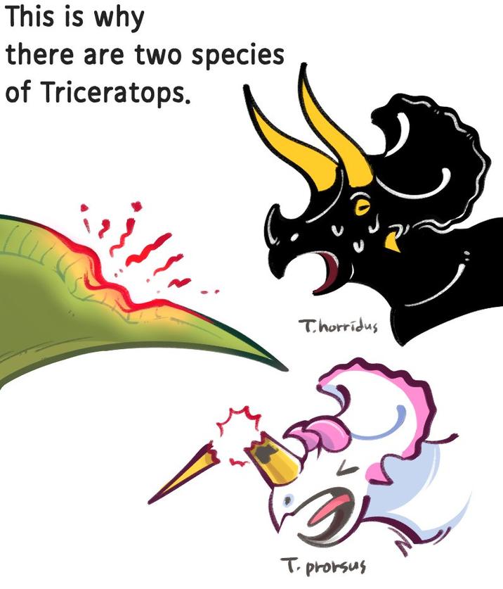 Two species of triceratops | Paleontology | Know Your Meme