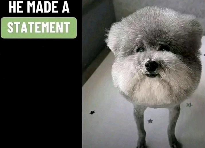 He made a statement | He Made a Statement So Trash Even His Gang Clowned Him | Know Your Meme