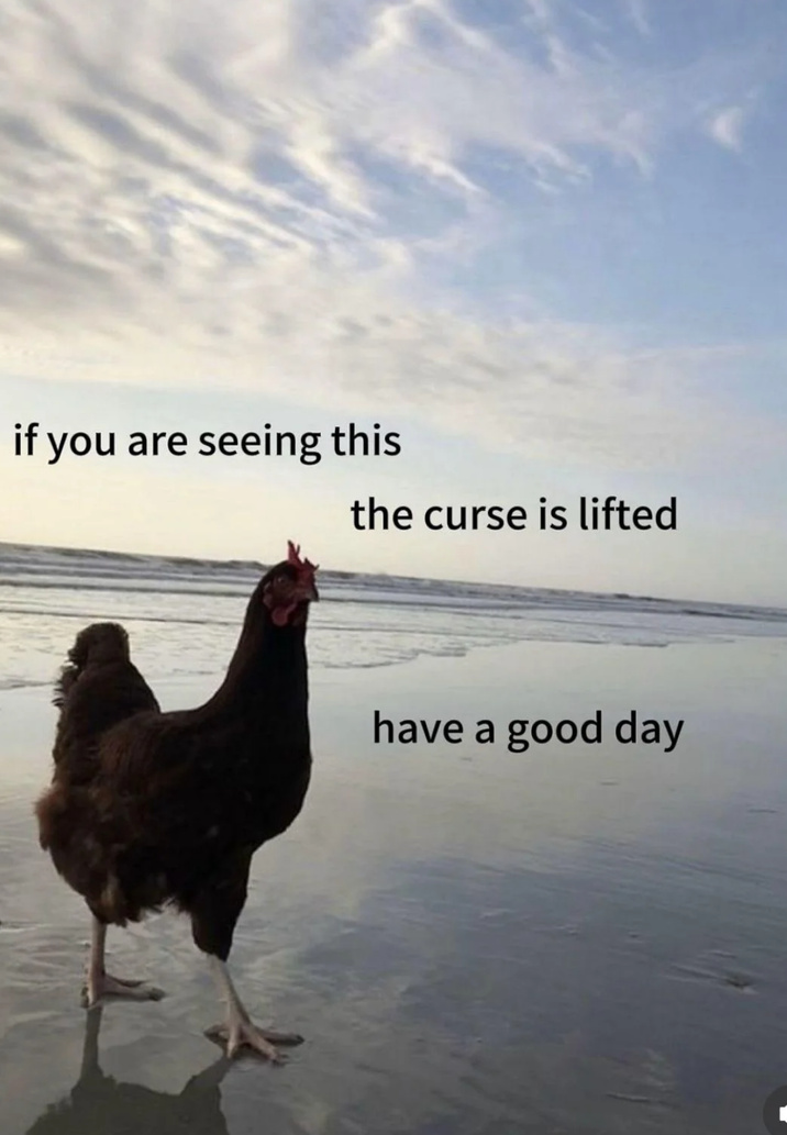 Curse removal trick | /r/memes | Know Your Meme