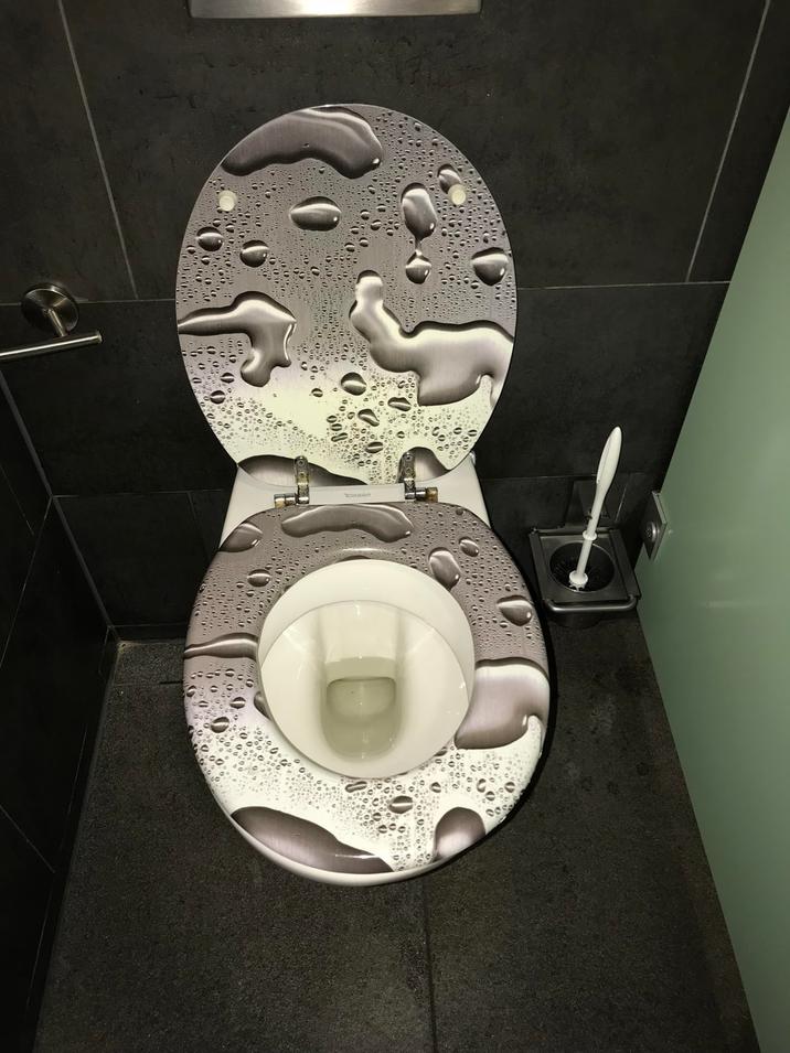 This toilet seat | Awful Taste, But Great Execution | Know Your Meme