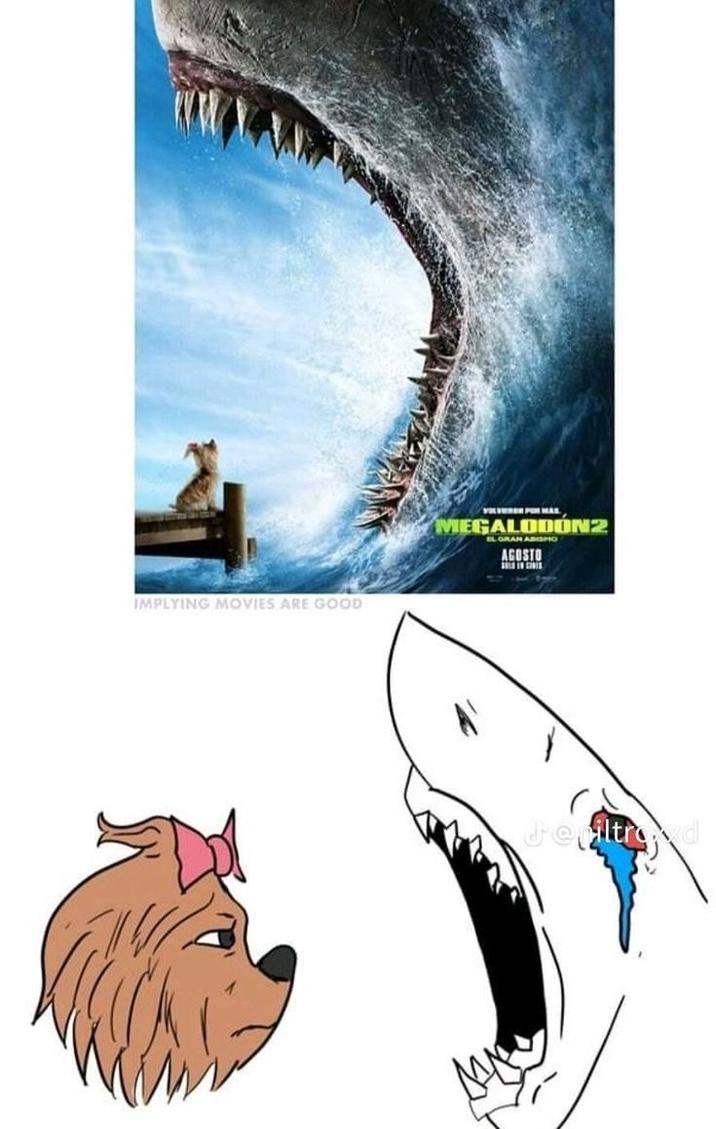 The Meg 2 | Sharks | Know Your Meme