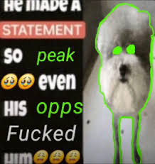 he made a statement so peak even his opps f----- him | Know Your Meme