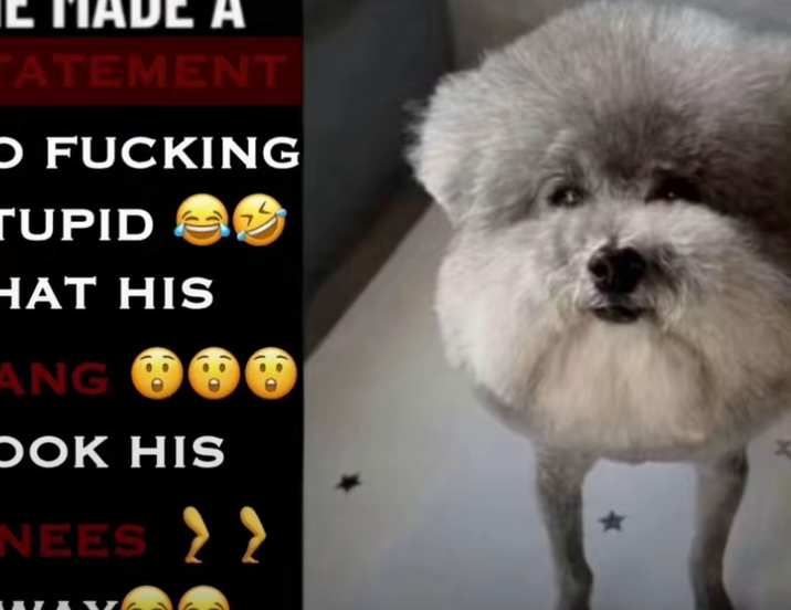 he made a statement so f------ stupid that his gang took his knees away ...