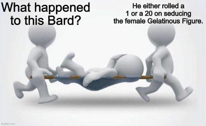 What did the Bard think would happen? | /r/dndmemes | Know Your Meme