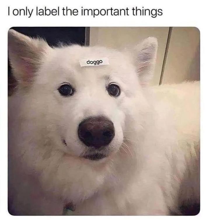 The important things | Know Your Meme