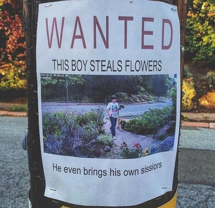 25 Accidentally Hilarious Situations | Know Your Meme
