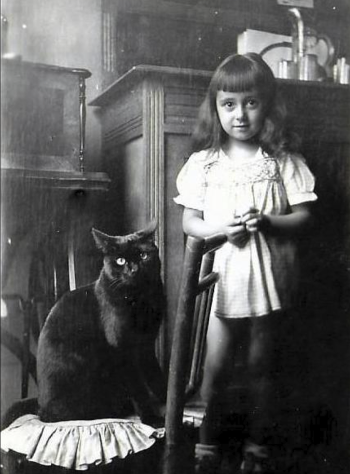A girl and a cat in the 1930s | History / Nostalgia | Know Your Meme