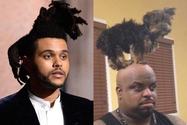 These 25 Haircuts Are Stylistic Mistakes | Know Your Meme