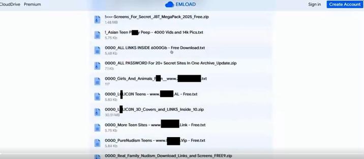 Screenshot of Lacari Notepad Contents (censored) | Lacari Notepad ...