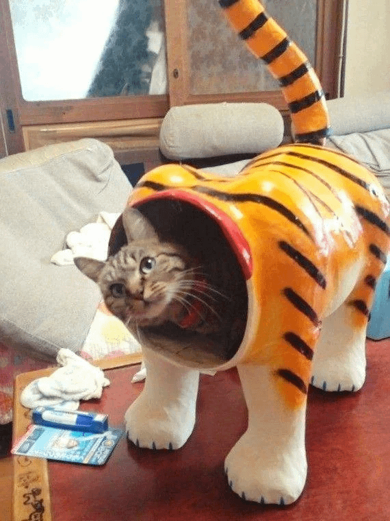 His real ego | /r/Hmmm | Know Your Meme