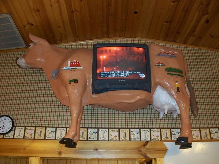 Cow TV | Awful Taste, But Great Execution | Know Your Meme