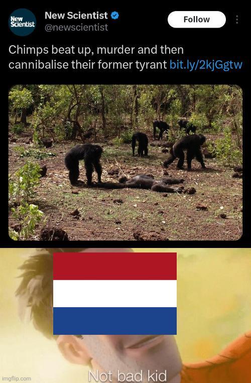 Monkey see monkey do | History Memes | Know Your Meme