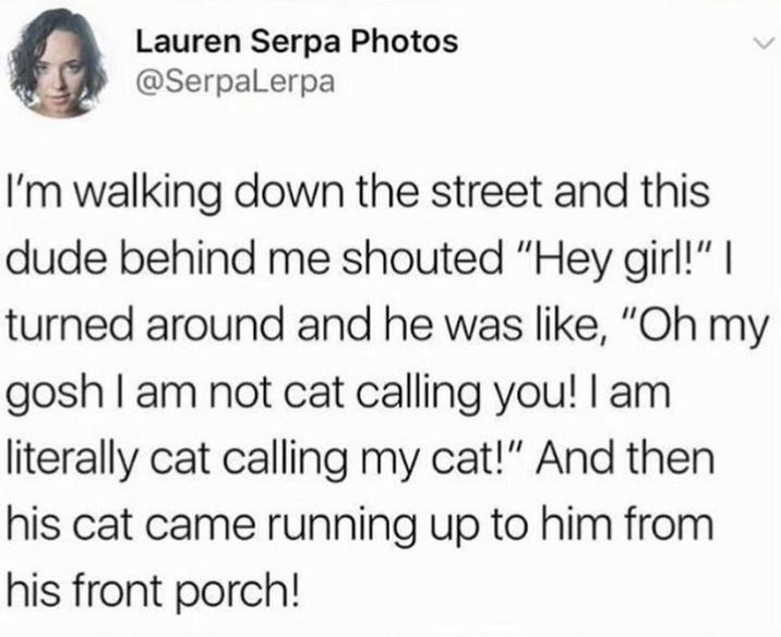 Cat calling | Know Your Meme