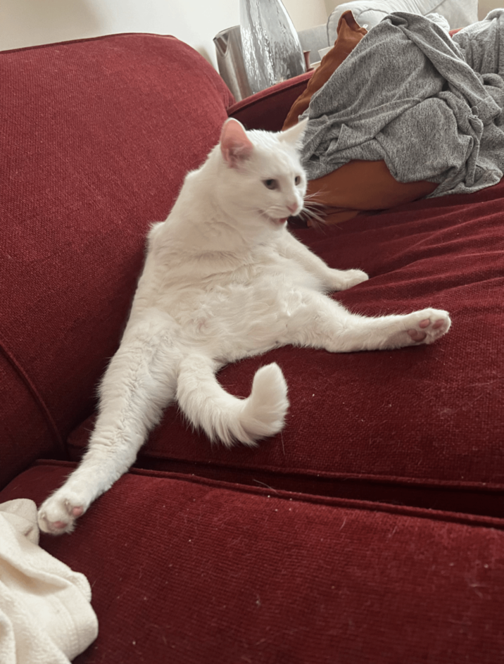 25 Confusing Photos Snapped From Odd Angles | Know Your Meme
