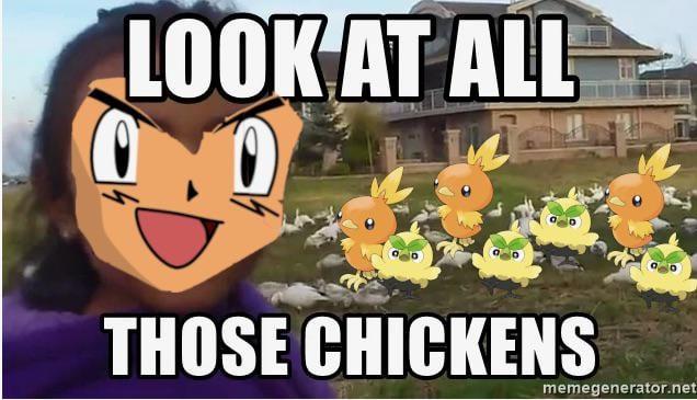 So many chickens | Pokémon Winds and Waves Starters | Know Your Meme