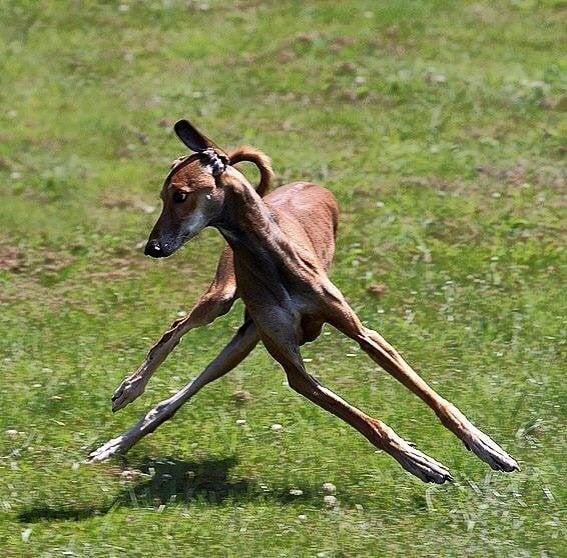25 Photos Snapped At The Perfect Moment | Know Your Meme
