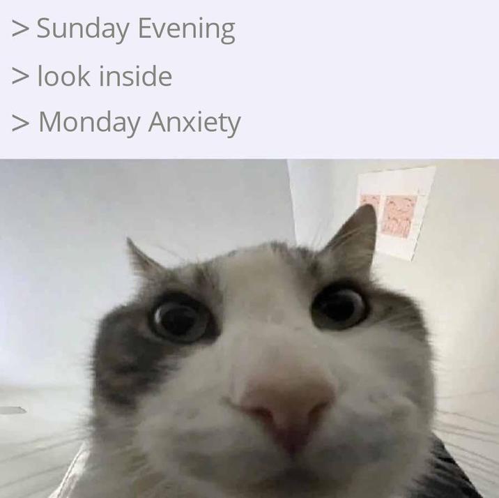 25 Memes To Take You Into The Weekend | Know Your Meme