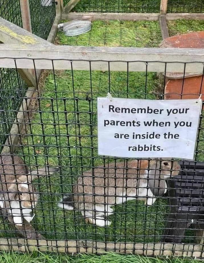 25 Funny Translation Fails From Around The World | Know Your Meme