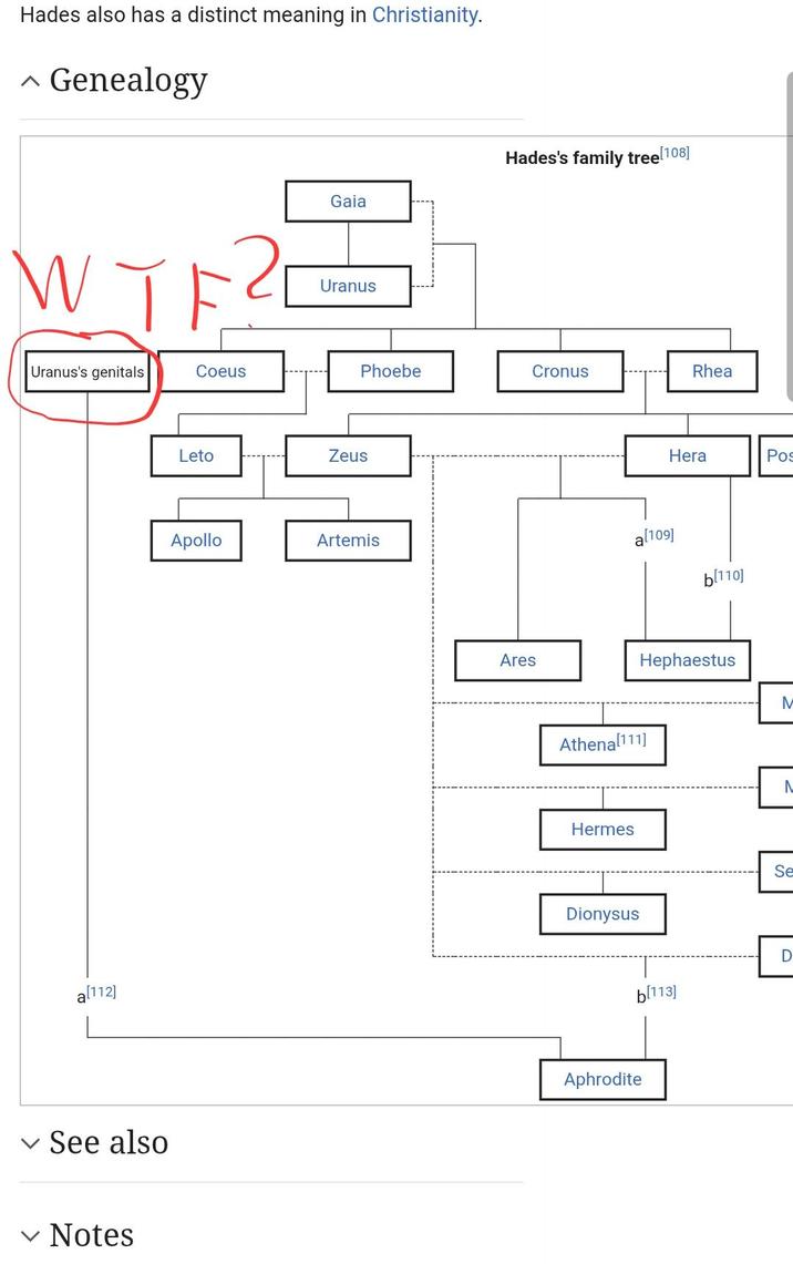 What the hell, Wikipedia? (Literally!) | /r/dankmemes | Know Your Meme