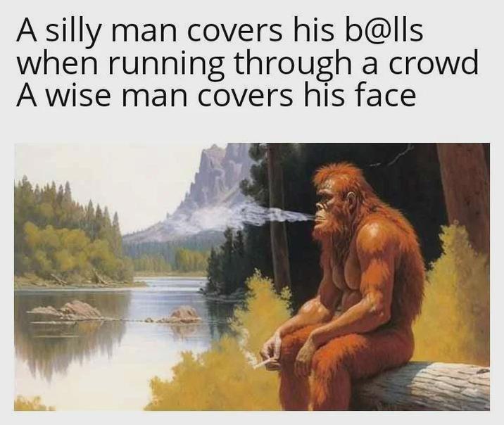The wisdom is dripping | /r/memes | Know Your Meme