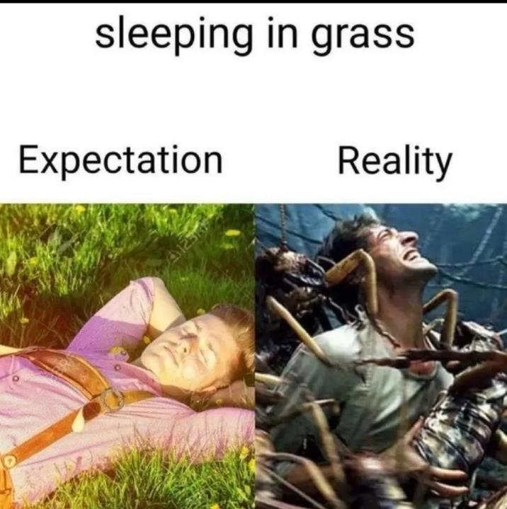 Enjoy 25 Utterly Relatable Memes | Know Your Meme