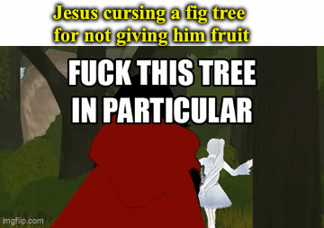 Jesus did not like that tree at all | History Memes | Know Your Meme