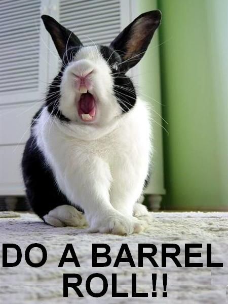 Things Just Got Real | Do a Barrel Roll | Know Your Meme