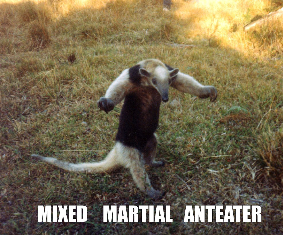 [Image - 746] | I'm an Anteater!!! | Know Your Meme