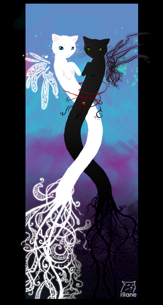 [Image - 16716] | Longcat | Know Your Meme