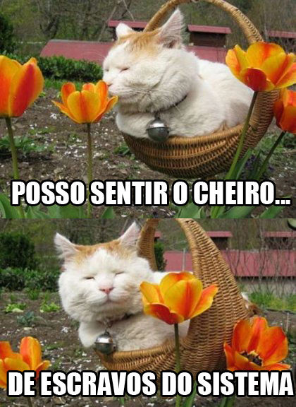 [Image - 106033] | Escravo do Sistema / Posso sentir o cheiro de ...