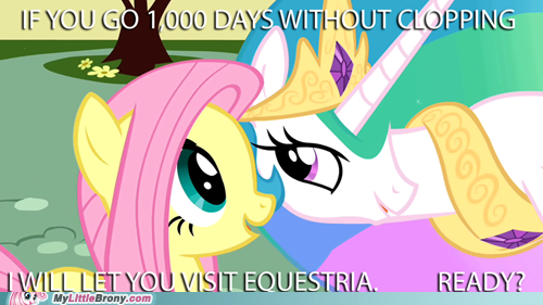 Best of Luck to my Single Brony Compadres | Know Your Meme
