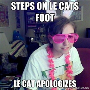 Steps on Le Cats Foot Le Cat Apologizes | Furby kid | Know Your Meme